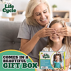 Life Cycle Kit Montessori - Realistic Figurine Toys, Kids Animal Matching Game with Frog, Ladybug, & More - Includes 24-Piece, Science, Learning & Education Toys, Fun Learning Game for Children 3+