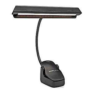 Korg EK50L Keyboard with High-Output Speakers Bundle with Music Light, Flip-Top Bench and Focus Book with CD (4 Items)