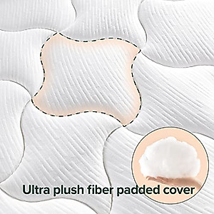 ZINUS 12 Inch Cloud Memory Foam Mattress / Pressure Relieving / Bed-in-a-Box / CertiPUR-US Certified, Twin