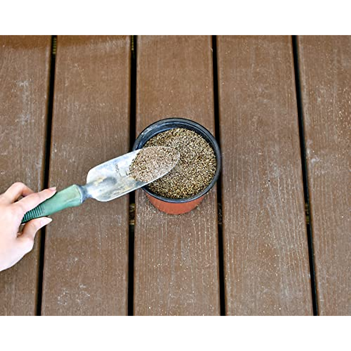 All Natural Vermiculite Soil Additive (1 Quart); Medium Grade Horticulture Soil Amendment for Plants, Terrariums, Orchids