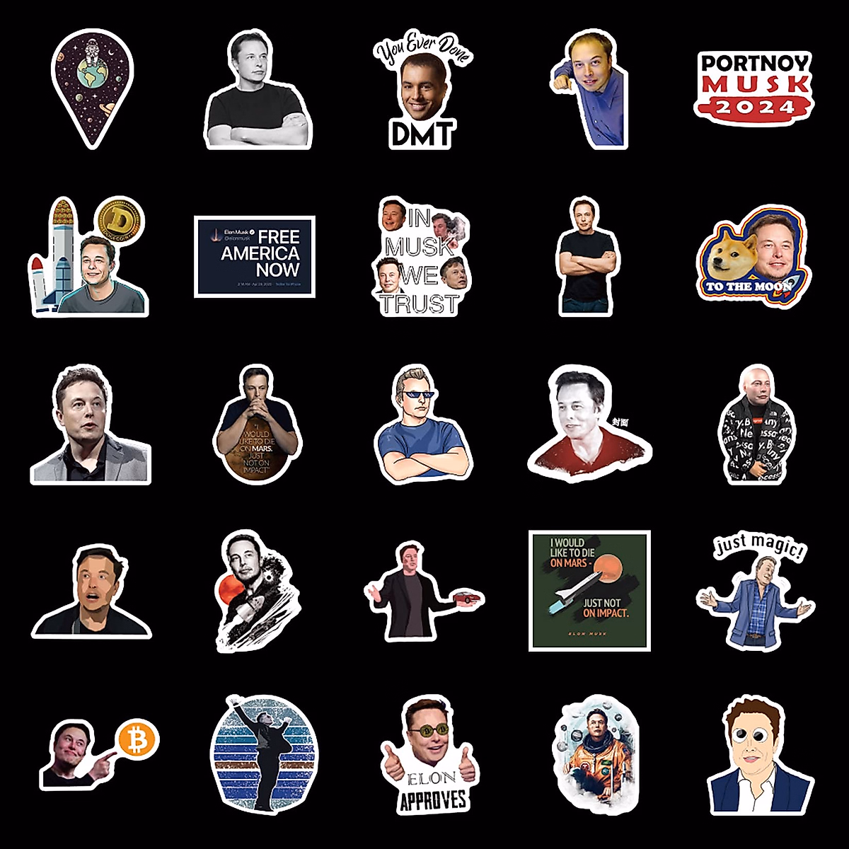 N&S [FOCUS's Stickers]100Pcs Elon Musk Stickers for Laptop Cellphone Water Bottle Hydro Flask Skateboard Luggage Car Bumper, etc FJKT, FS028