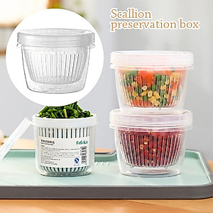 gofidin 4 Pcs Vegetable Storage Box, Ginger Garlic Onion Keep Fresh Container with Drain Basket Double Layer Plastic Transparent Food Drainage Sealing Box