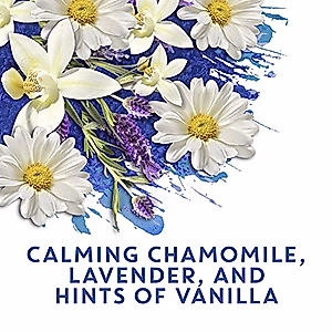 TAZO Dream Herbal Tea Bags, Nighttime Team, 20 Count (Pack of 6)