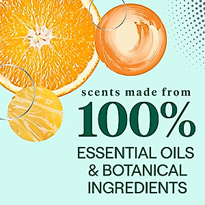 Seventh Generation Liquid Dish Soap, Clementine Zest & Lemongrass, Tough on Grease, 19 Fl Oz