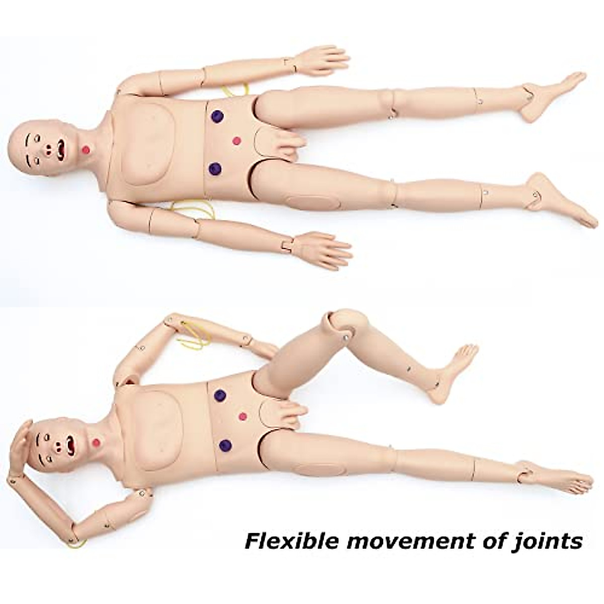 PreAsion Manikin Training 24 Wound ModulesTrauma Manikin Care Multi Functional Anatomical Human Model Advanced Training Manikin Model Demonstration Manikin for Men and Women Life-Size Nursing Model