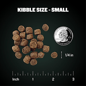 Bully Max 25/11 High Protein & Low Fat Dry Lamb Dog Food for Puppies and Adult Dogs - Chicken-Free Lamb Flavor - Natural Puppy Food for All Ages, Small and Large Breeds - Large Kibble Size, 5 lb. Bag