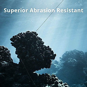 Calamus Bastion Braided Fishing Line, Moss Green, 300 Yds, 50 LB (4 Strands)