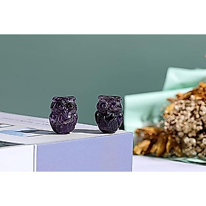 CrystalTears Amethyst Crystal Owl Figurine Ornament Carved Natural Healing Crystal Gemstone Animal Statue for Home Office Decor Reiki Healing Good Luck Crystal Gift for Christmas