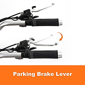 DWMEIGI Step Thru Electric Tricycle for Adult, 350W 36V 13AH Electric Trike 7 Speed with 24" Wheel for Men Women