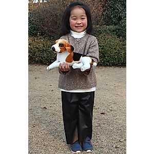 Jesonn Realistic Stuffed Animals Dog Plush Toys Beagle,12" or 30CM,1PC