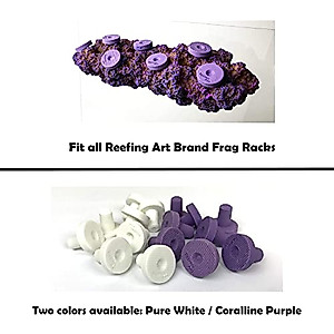 Reefing Art Ceramic Coralline Purple Coral Frag Plugs 100 Pack Free Aquarium Glue for SPS LPS
