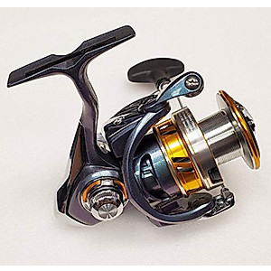 Daiwa Regal LT Spin Reel-RGLT3000D-C Blue