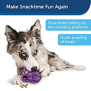 PetSafe Busy Buddy Barnacle - Dog Chew Toy - Treat Dispensing Dog Toys