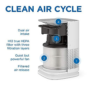 Medify Air MA-14 Air Purifier with H13 True HEPA Filter | 200 sq ft Coverage | for Allergens, Wildfire Smoke, Dust, Odors, Pollen, Pet Dander | Quiet 99.7% Removal to 0.1 Microns | White, 1-Pack