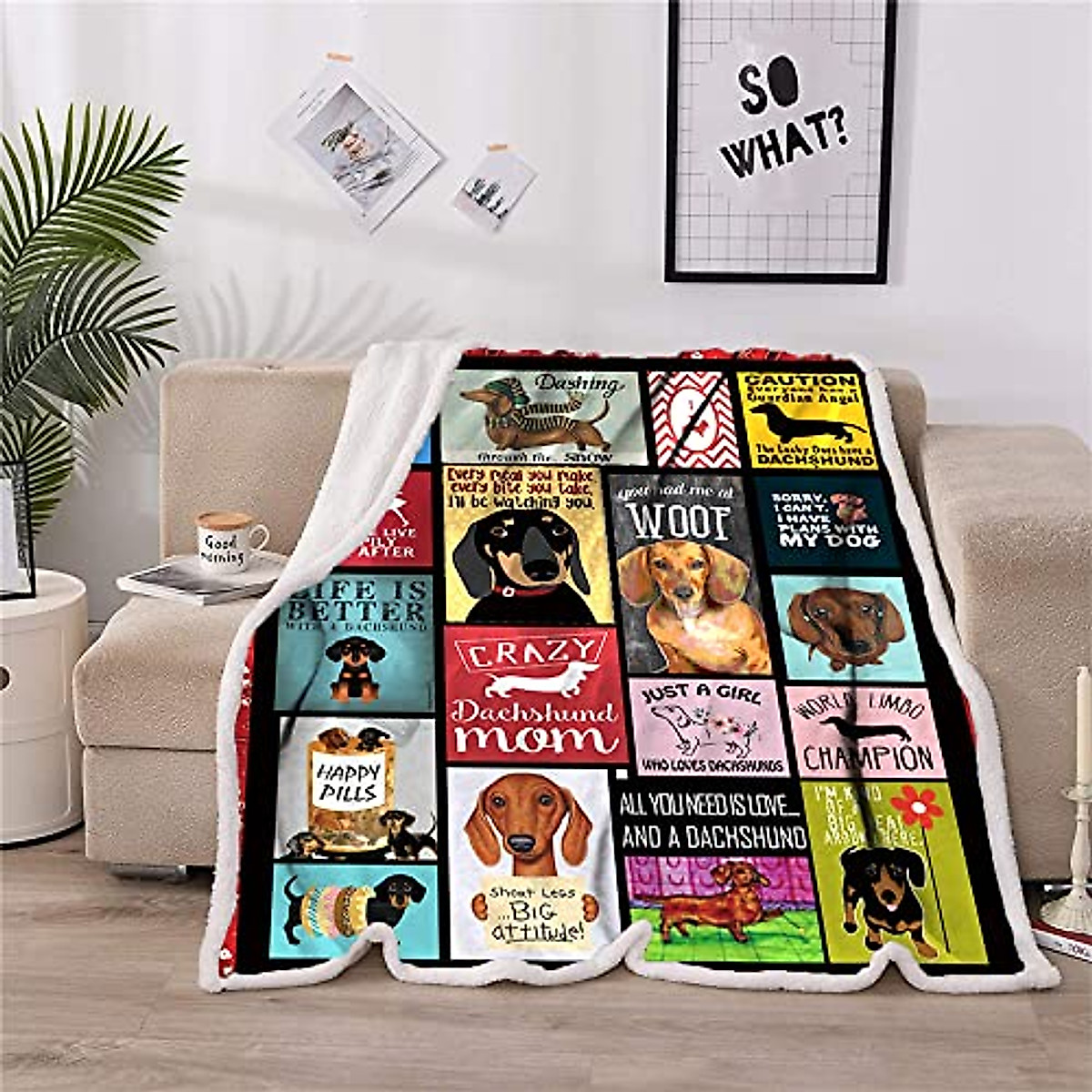 Ultra Soft 3D Printed Blanket Dachshund Dog Pattern Cozy Microfiber Plush Sherpa Blanket 2 Sizes Warm Fuzzy Throw Blanket for Kids and Adults Throws Blankets (Style02, 150cm x 200cm(59'' x 79''))