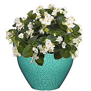 Classic Home and Garden 7" Snap-Crackle-Pot - Teal