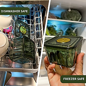 BFU split sealed snack box, covered dried fruit tray, Candy food storage box, split tray, 5 independent snack boxes, cooked food containers, 12 inches