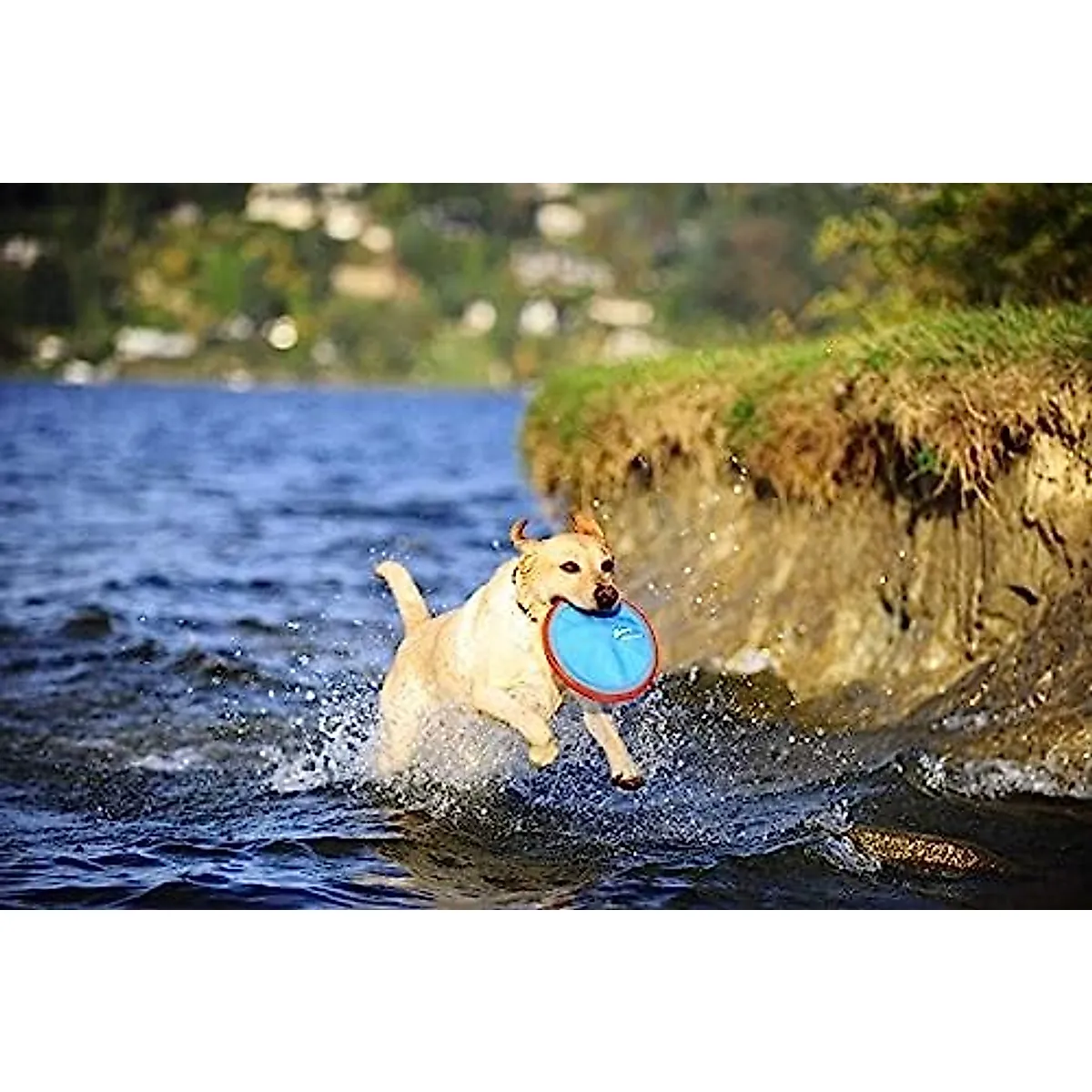 ChuckIt! Paraflight Flyer Dog Frisbee Toy Floats On Water; Gentle On Dog's Teeth And Gums; Large