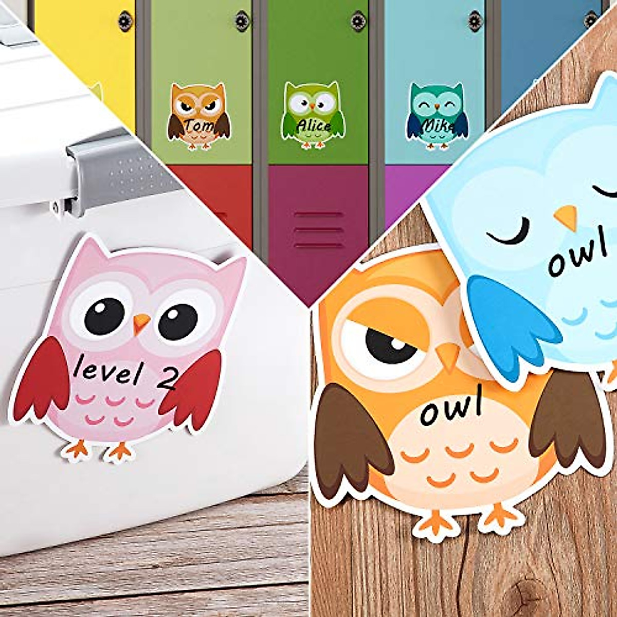 Colorful Owls Cutouts for Classroom & Party Decor