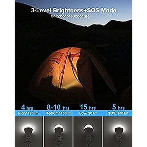 FLYHOOM Rechargeable LED Light Bulbs with Remote, 4 Light Modes & Timer, Portable 180LM Emergency Light Bulb LED Camping Light Bulbs with Clip Hook for Tent, Hiking, Home, Emergency