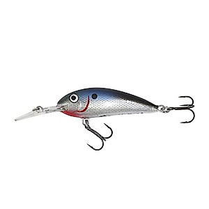 Northland Fishing Tackle Rumble Shad Medium Diving Balsa Crankbait - Freshwater Lures for Bass, Crappie, Walleye, Trout and Many More (Silver Shiner, 2.25", 3/8 Oz)
