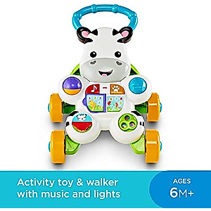 Fisher-Price Baby Learning Toy Learn With Me Zebra Walker With Music Lights And Fine Motor Activities For Ages 6+ Months