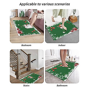 Indoor Door Mat Washable Mat 16x24 Inch - Outdoor Non-Slip Mat Absorbent Resist Dirt Doormats Socks Pattern Green Floor Mat for Entryway Patio Bathroom