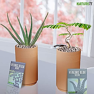Bonsai Tree and Aloe Vera Plant Starter Kit, Sow and Grow Bonsai and Healing Aloe, Aloe Vera and Bonsai Tree Seeds with Indoor Self-Watering Terracotta Planter Pots, Plant Lover Gift & DIY Adult Craft