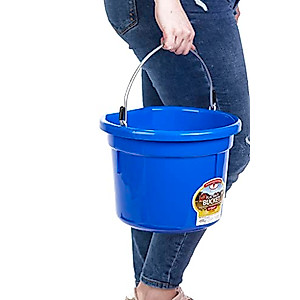 Little Giant® Flat Back Plastic Animal Feed Bucket | Animal Feed Bucket with Metal Handle | Horse Feed & Water Bucket | 8 Quarts | Blue