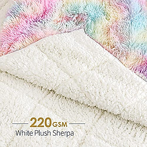 Mr. Sandman Faux Fur Weighted Blanket Queen Size 15 lbs, Luxury Elegant Long Fur Weighted Blanket Throw for Bed Sofa, Super Soft Warm Sherpa Reverse Heavy Blanket - 60"×80", Rainbow