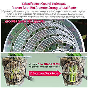 Meshpot 4 inch Clear Plastic Orchid Pots with Holes and Saucers for Repotting,Pack of 4,Small Orchid Planters Own Scientific Controlling Roots Technology to Develop More Strong Roots