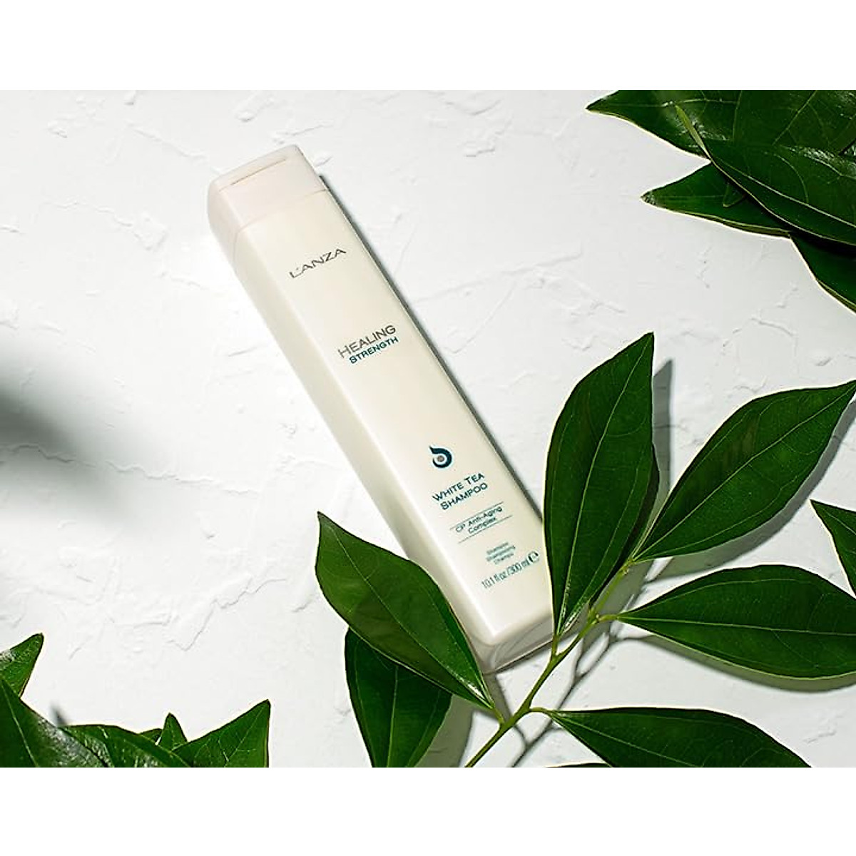 L'ANZA Healing Strength White Tea Shampoo, Shampoo For Dry, Damaged Hair, Boosts Shine, Strengthens, Protects and Restores Weak, Fragile, and Aged Hair Against Split Ends & Frizz Control (10.1 Fl Oz)