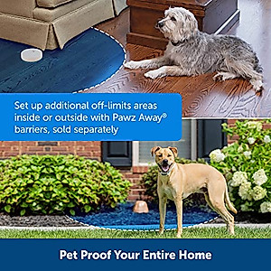 PetSafe Classic In-Ground Fence Rechargeable Receiver Collar for Dogs and Cats - from The Parent Company of Invisible Fence Brand - 7 Levels of Adjustable Static Correction - for Pets 5 lb and Up