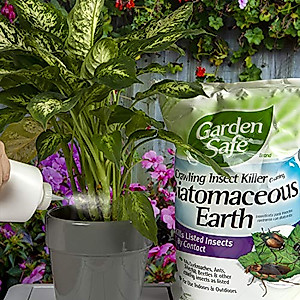 Garden Safe Insect Killer, 1-count