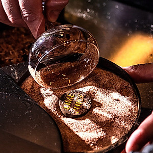 YOTOZU 3-Tier Bar Glass Rimmer,Cocktails Margarita Seasoning Box with One Sponges,Sugar Salt Rimmers Bartender Garnishing Tools for Bar Party