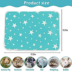 BNOSDM Guinea Pig Cage Liners 6 Packs Reusable Small Animal Pee Pads Washable Guinea Pig Bedding Highly Absorbent Cage Mats for Hamsters Chinchillas Hedgehogs Ferrets Rabbits