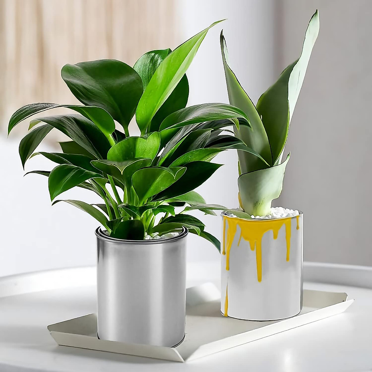 WUWEOT 6 Pack Metal Quart Paint Cans with Lids, Empty Unlined Paint Buckets, Multipurpose Storage Paint Pails Containers for Arts and Crafts, DIY Projects, Painting, Garage Organization