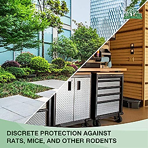 Rat Bait Stations by Eco Pro Pest Control | 2-Pack Indoor & Outdoor Rodent Bait Station | Pellet/Block (Not Included) Secured by Rat Bait Station Key & Lock | Pet & Child-Safe Rodent Trap Alternative