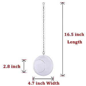 Lanermoon Chicken Hanging Foraging Toys for Hens Feeder Feeding Treat Ball with Veggie and Seed Food for Pet Parrot Bird
