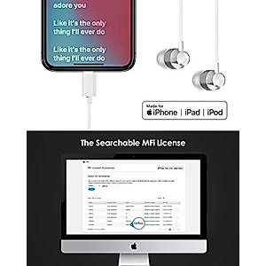 PALOVUE Lightning Headphones Earphones Earbuds in-Ear Magnetic MFi Certified with Microphone Compatible iPhone 14 13 12 11 Pro Max iPhone X XS Max XR iPhone 7 8 Plus iPad Metallic Silver