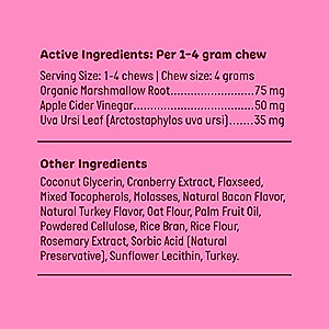 Active Chews | Cranberry Supplement for Dogs | Dog UTI, Bladder Control for Dogs | Dog Kidney Support, Dog Cranberry Supplement, Dog Health Supplies, Dog Incontinence Products | 120 ct