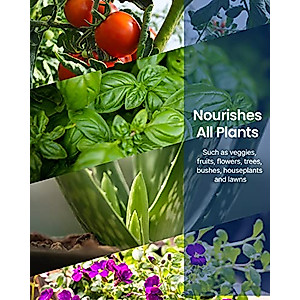 iDOO Plant Food 70 oz (2 Liter), All-Purpose Water Soluble A & B Nutrients, Liquid Concentrated Hydro Garden Fertilizer for Hydroponics System, Indoor Potted House Plants, Flowers, Vegetable