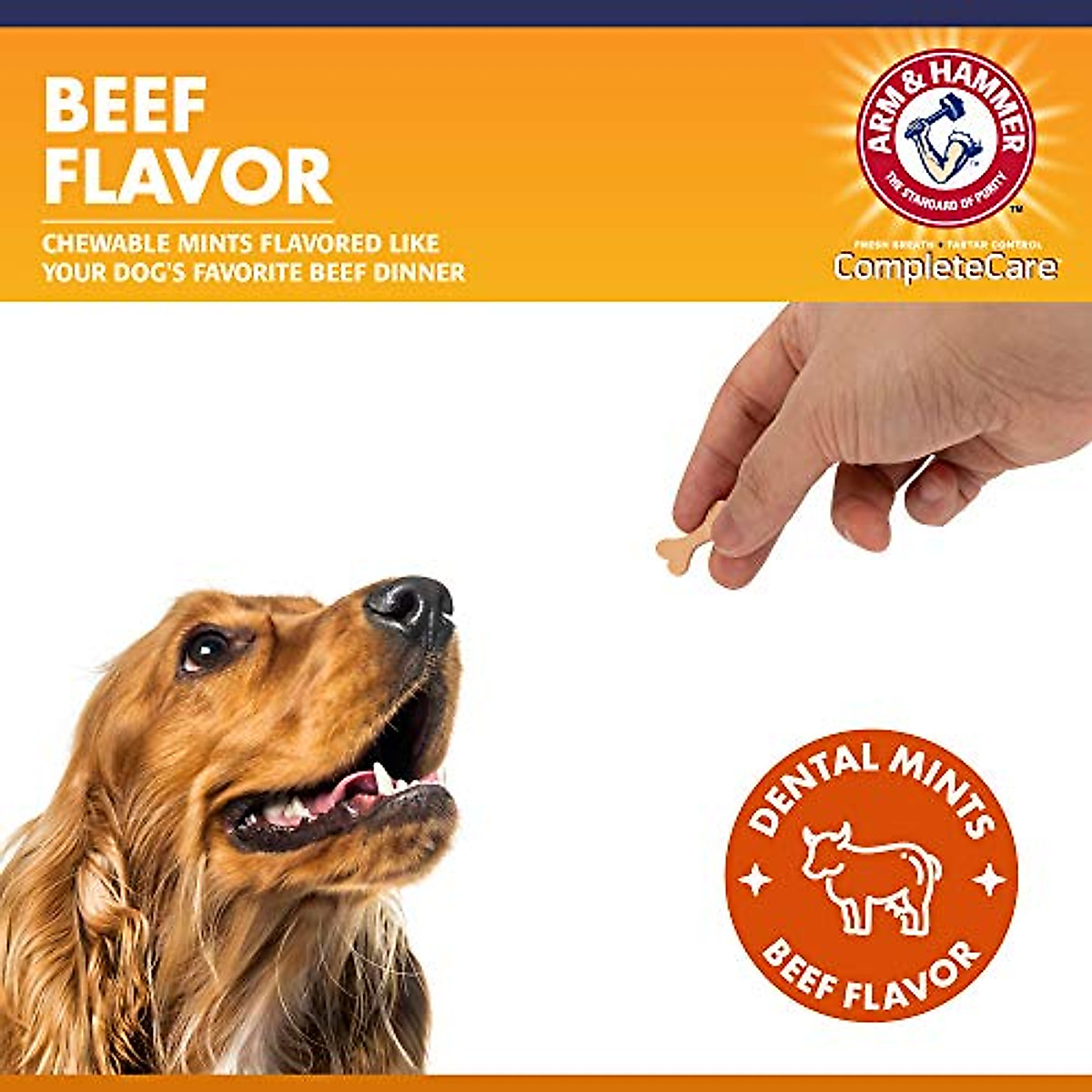 Arm & Hammer for Pets Complete Care Dog Dental Mints in Resealable Bag, Beef Flavor Baking Soda Enhanced Dog Dental Care Mints for Fresh Breath, 40 Mints