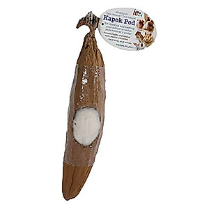 Penn-Plax Kapok Pod for Birds and Small Animals – Meets and Satisfies The Various Chewing and Nesting Needs of Tiny Critters