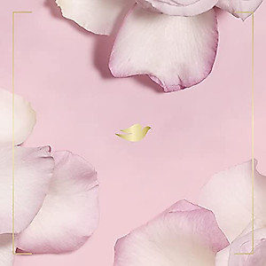 Dove Body Wash Renewing Peony and Rose Oil for Renewed, Healthy-Looking Skin Gentle Skin Cleanser with 24hr Renewing MicroMoisture 20 oz