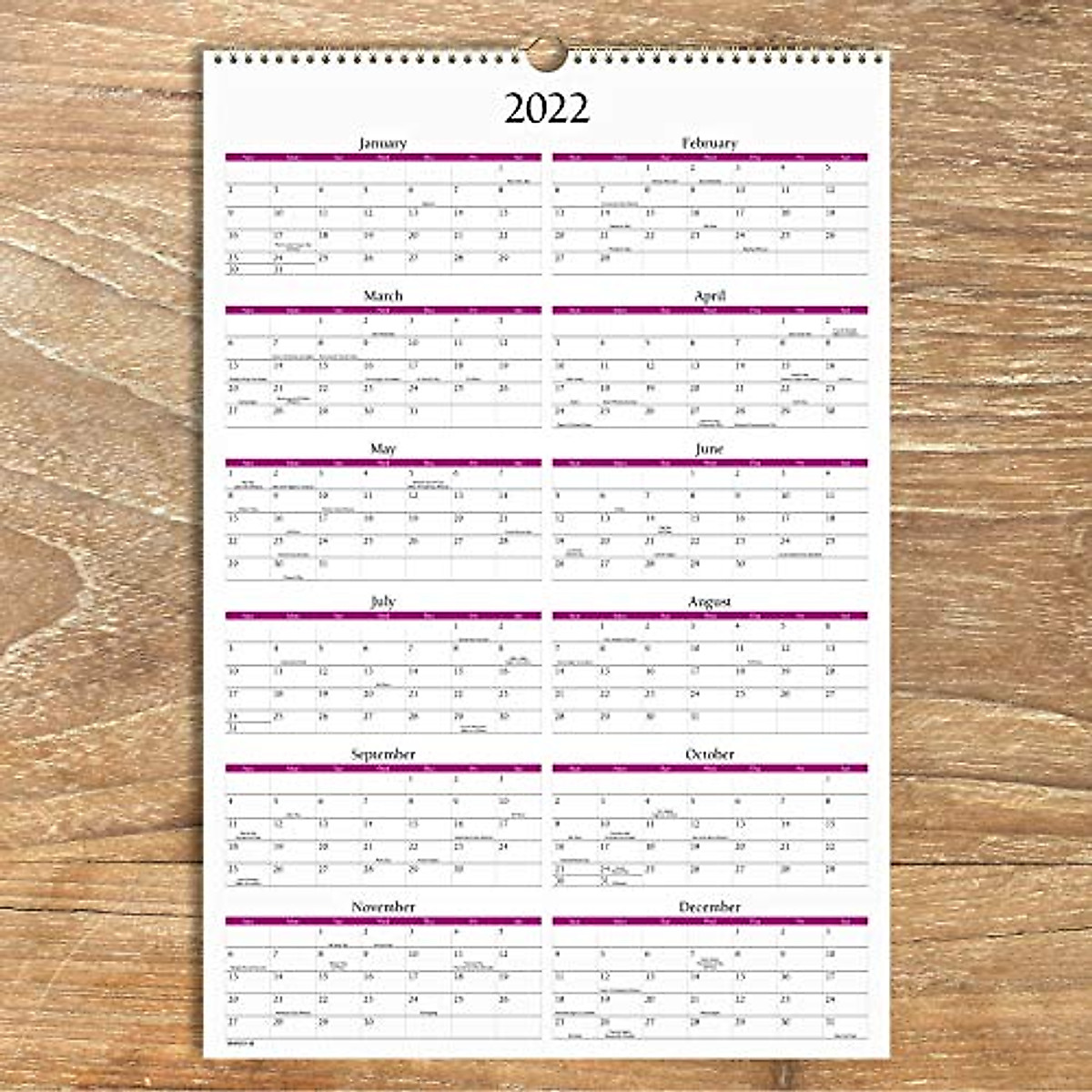 2022 Wall Calendar by AT-A-GLANCE, 15-1/2" x 22-3/4", Large, Monthly, Scenic (DMW20128)
