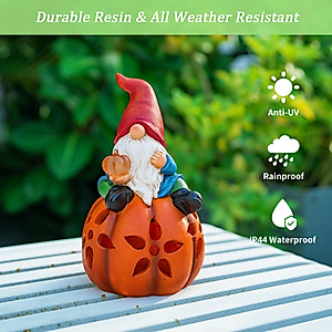 WONDHOME Solar Gnome Statues Spring Decor Pumpkin Gnomes with LED Lights Christams Gardening Gifts for Women Mom, Yard Art Sculpture for Patio Yard Lawn, Pumpkin Gnome