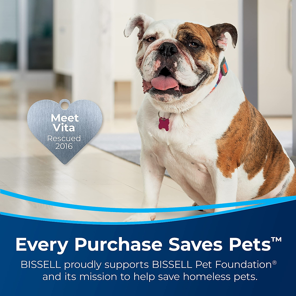 BISSELL Little Green Pro Portable Carpet & Upholstery Cleaner with Deep Stain Tool, 3" Tough Stain Tool, plus two 8 oz. trial-size Formulas, 3194