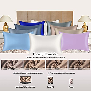 LONGPHEI Silk Satin Pillowcase Cooling Pillow Cases for Hair and Skin Taupe with Eye Mask 2pcs (Taupe, Standard)