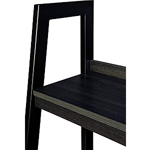 Ameriwood Home Lawrence 4 Shelf Ladder Bookcase Bundle, Black